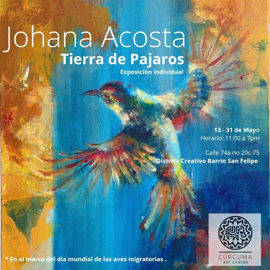 Cúrcuma Art Center | Tierra de Pájaros
